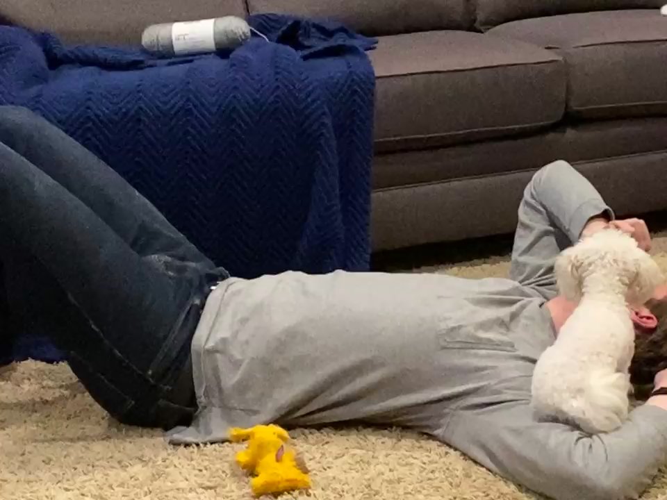 Jennifer Howard | Portfolio